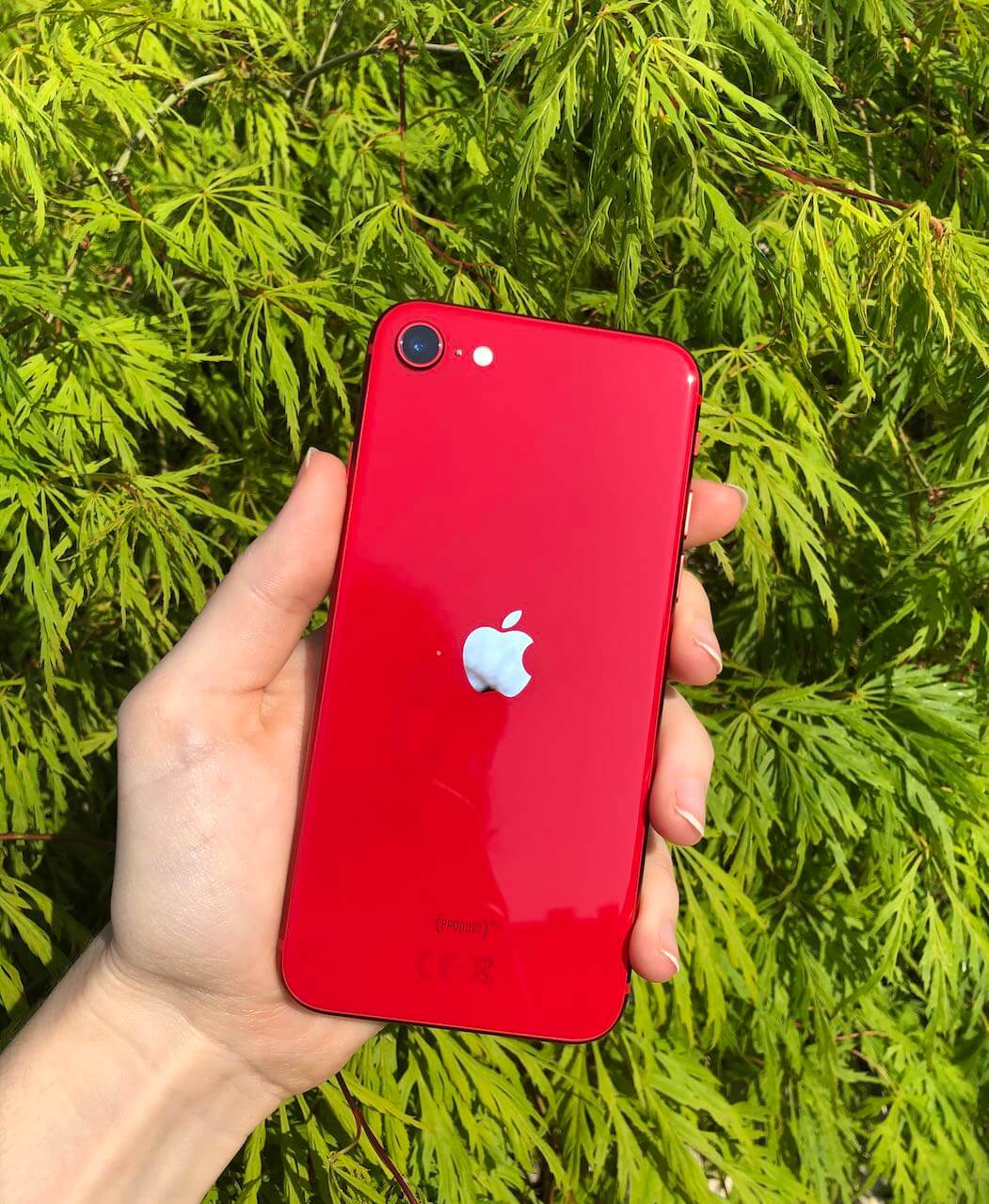 Apple iPhone SE Test: Der neue Preis-Leistungs-Standard - Beyond Pixels